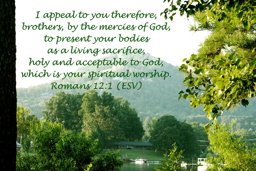 Living Sacrifice Romans 12 1 Julie Agee